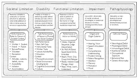 Measurement Model Built On The National Center For Medical