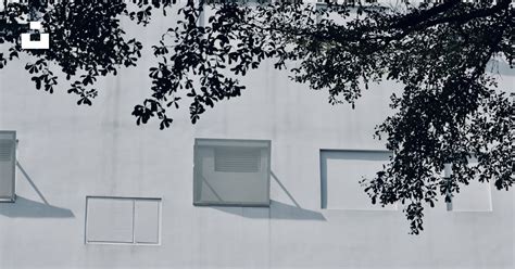 창문과 나무가 있는 건물 사진 Unsplash의 무료 이미지