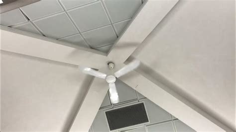 Another Canarm Cp56 Youtube