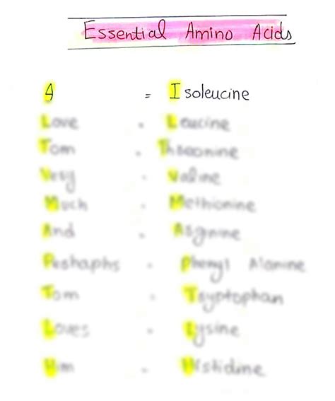 SOLUTION Trick To Learn Amino Acids Studypool