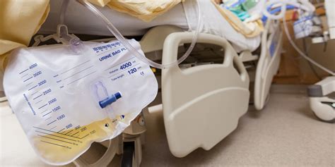 Urine Collection And Drainage