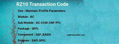 RZ SAP Tcode For Maintain Profile Parameters