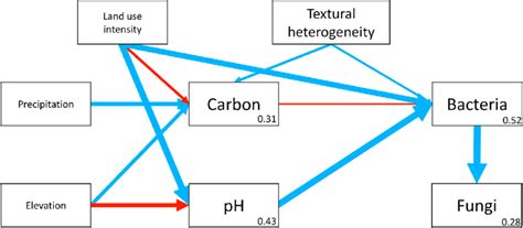 Structural Equation Model Showing The Significant Impact Of Textural Download Scientific