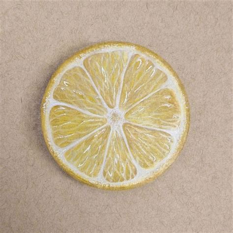 Realistic Lemon Slice Drawing Idee Per Disegnare Idee Disegni