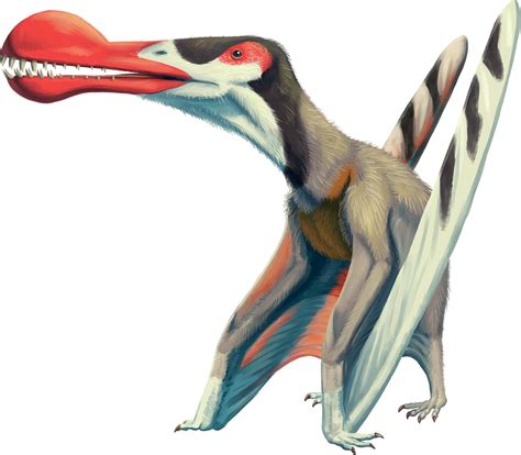 Ornithocheirus Pteros