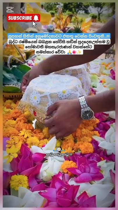 පිංවන්ත හිත් ඇති ඔබ සියලු දෙනාගෙ සෑම බලාපොරොත්තුවක්ම සඵල වේවා තෙරුවණ් සරණයි Shorts