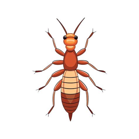 Illustration Of Earwigs On A White Background 58981233 Vector Art At Vecteezy