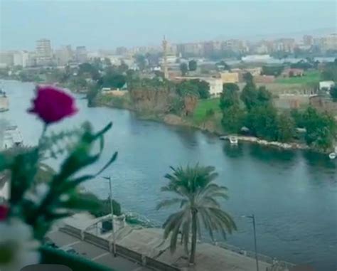 شقة علي النيل Cairo Updated Prices 2026