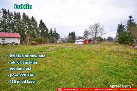 Pi Kna Dzia Ka M Od Lasu Ok Ul Lipskiej Lublin Sprzedajemy Pl