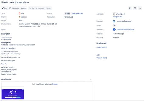Bug Summary Report Template 10 Examples Of Professional Templates Ideas