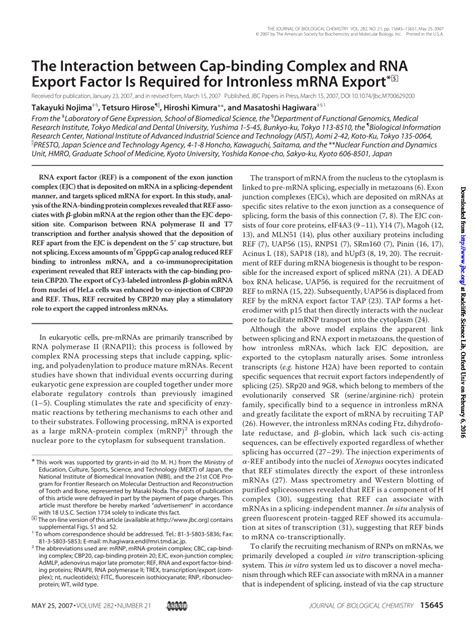 Pdf The Interaction Between Cap Binding Complex And Rna Export Factor