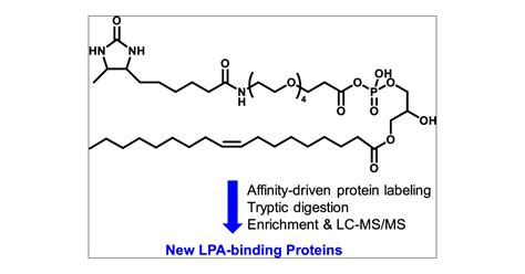 Lysophosphatidic Acid Lipidomicscreative Proteomics 50 Off