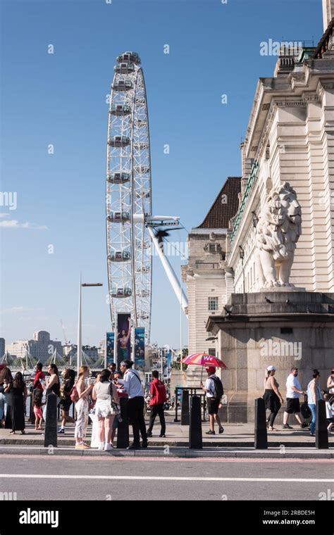 The Coade Stone South Bank Lion Next To City Hall And Millenium Wheel On Londons Southbank