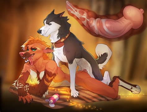 Rule 34 Alaskan Malamute Anal Anal Knotting Anal Sex Anthro Anthro On Feral Anthro Penetrated