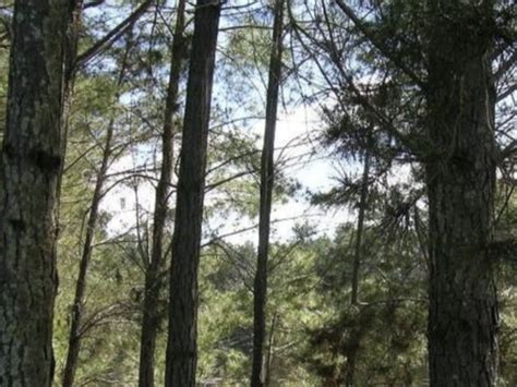 Yass Farm Stay Nsw Holidays And Accommodation Things To Do