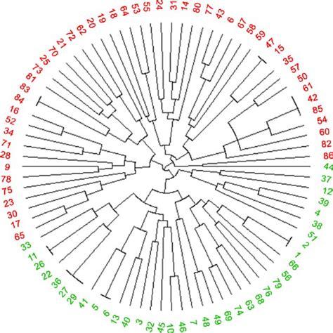 The Upgma Dendrogram Of 86 Fig Genotypes Generated With Ssr Data