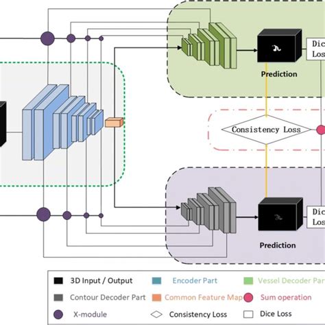 the architecture of the contour constraint multi branches network