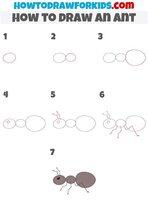 How To Draw An Ant Artofit