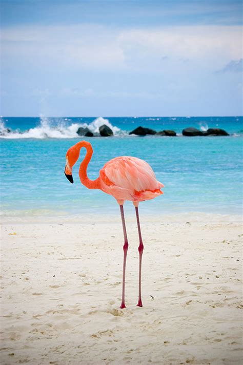 Изображение для фотопечати №2061