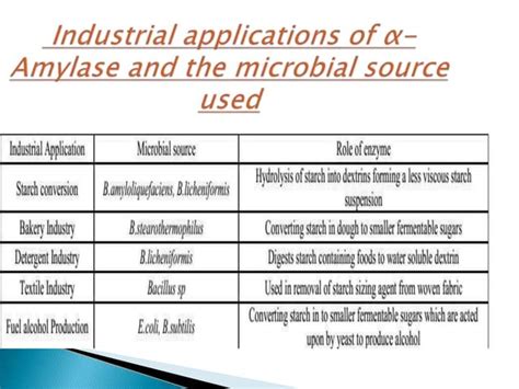 Industrial Enzyme Amylase Pptx Ppt