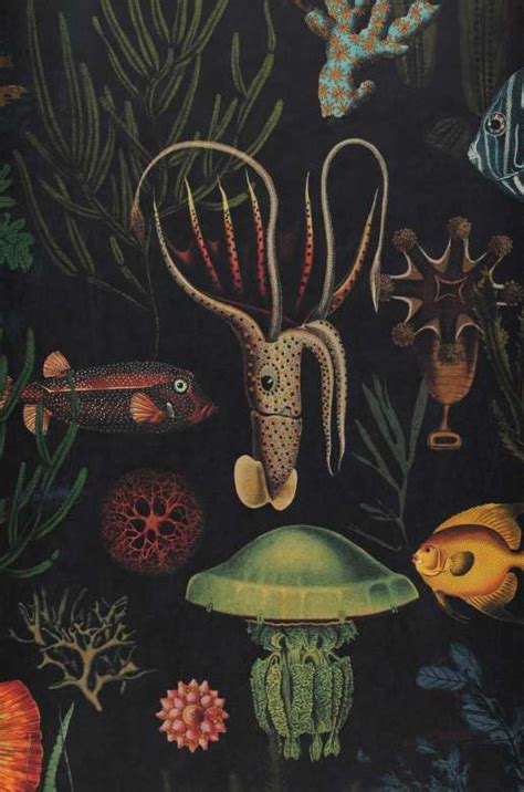 Wall Mural Oceania Anthracite Wallpaper From The 70s