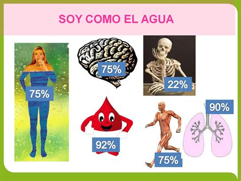 Importancia Del Agua