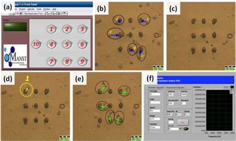 optical micrographs demonstrating the trapping and programmable