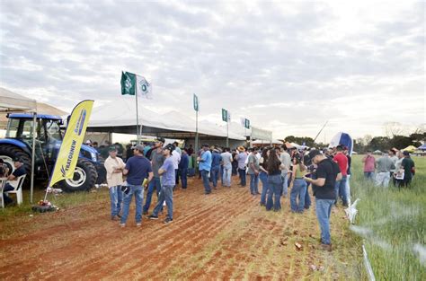 Por Que Devemos Dar Tanto Valor A Um Dia De Campo