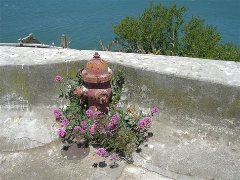 Miya Water Makes 30 Million Investment In Brazil Firm To Cut Water Loss In Cities Green Prophet