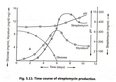 Production Of Streptomycin Biology Ease