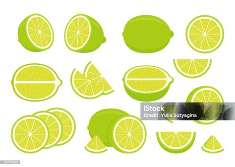 녹색 잘 익은 라임 세트 전체 반 조각과 레몬 다진 슬라이스 비타민과 신선한 신 감귤류 과일입니다 흰색 배경의 벡터 그림 감귤류 과일에 대한 스톡 벡터 아트 및 기타 이미지