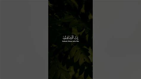 احمد النفيس إن الذين يحبون أن تشيع الفاحشة في الذين آمنوا لهم عذاب