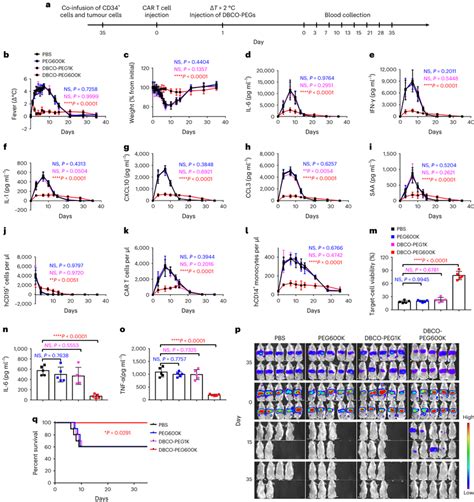 In Situ Pegylation Of Car T Cells Alleviates Cytokine Release Download Scientific Diagram