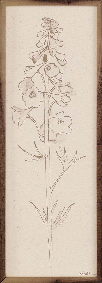 Delphinium Ii Flower Stem By Shirley Novak Kendrick Home