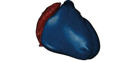 Electrical Finite Element Model Of The Human Heart Discretized With Download Scientific Diagram