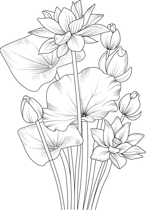 Dibujo De Flor De Loto Una Rama De La Colección Botánica De Primavera