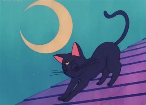 Retro Luna And Sailor Moon Image On Favim