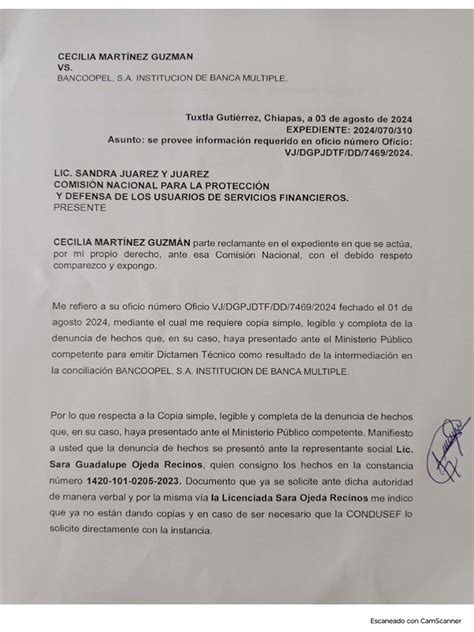 Denuncia De Hechos 310 80 Bancoopel Pdf