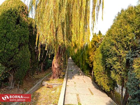 بوستان ساعی تهران پاییز ۱۴۰۳