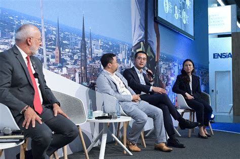 Looking Overseas Century New Energy Network