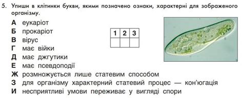 15 Упиши в клітинки букви якими позначено ознаки характерні для зображеного організму A