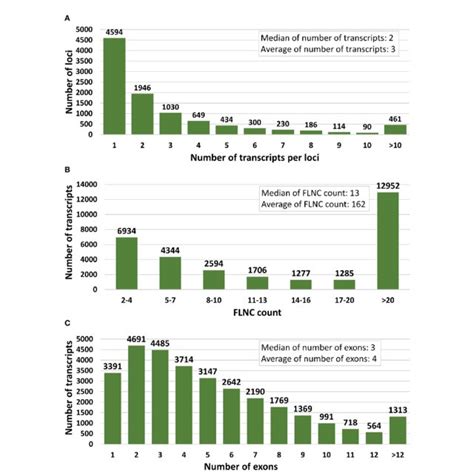 Key Statistics For The Final Full Length Error Corrected Mrna