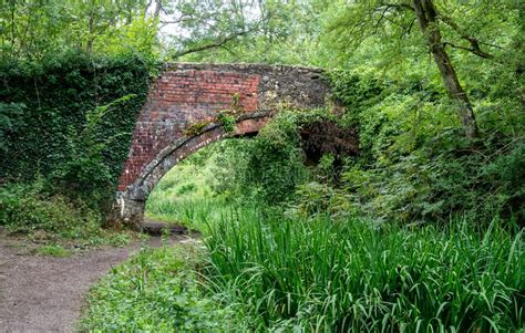 Severn Thames Canal Bourne Lock Bridge Brimscombe Stock Image