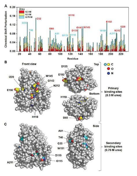 Figure S4 Chemical Shift Perturbation Csp Analysis To Monitor The Download Scientific