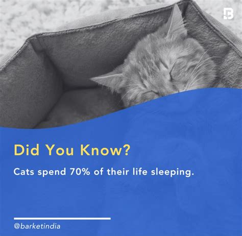 Barket On Linkedin Barketfacts Didyouknow Didyouknowfacts