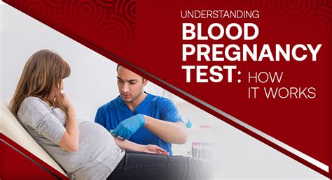 Understanding Blood Pregnancy Test How It Works Private Blood Tests
