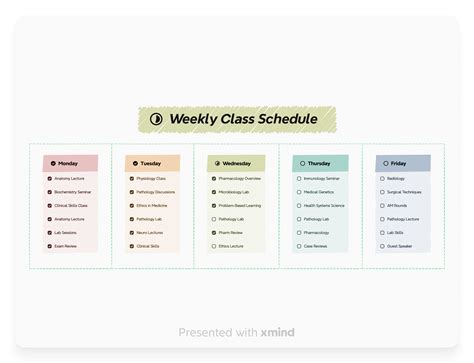 Mar 2024 Xmind Beta Update Grid