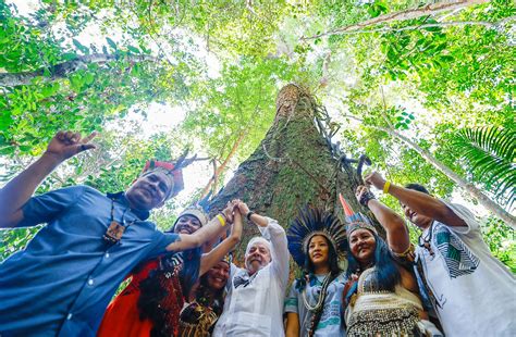 Lula Defende Biodiversidade Amazônica E Proteção Aos Povos Indígenas