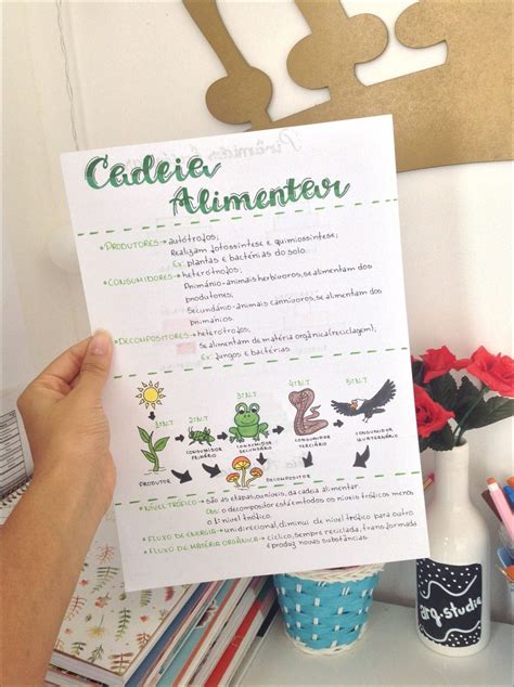 Cadeias Alimentares Mapa Mental Retoedu