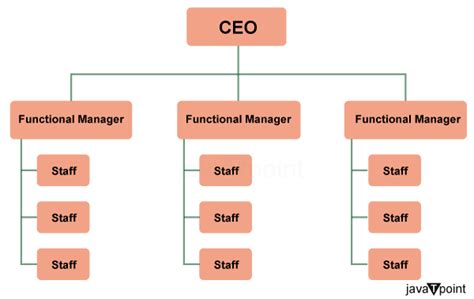 difference between functional and divisional structure tpoint tech
